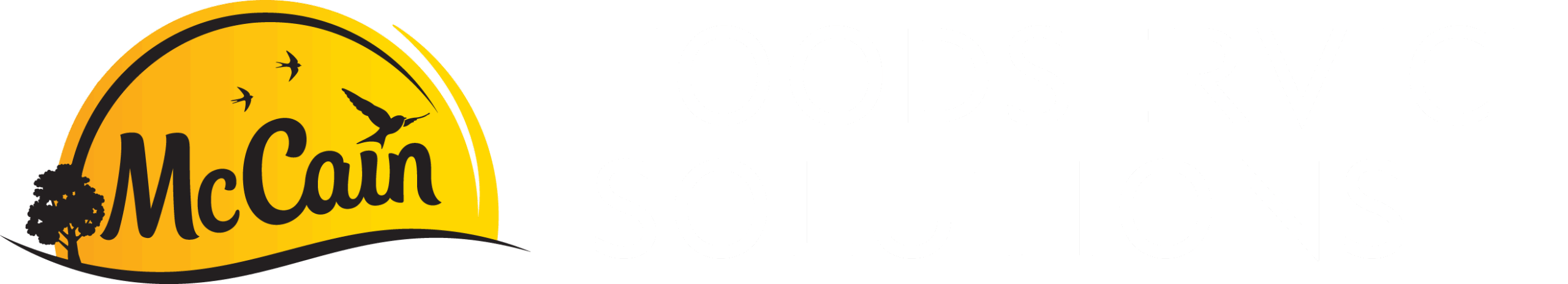 About - McCain Foodservice